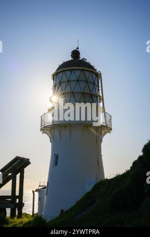 People walking in sunbeams shining though the trees in Droke Forest ...