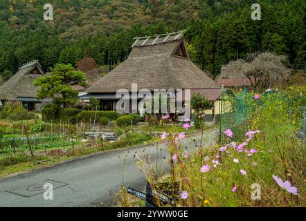Miyama, a rural japanese town with traditional houses and thatched ...