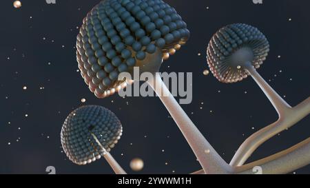 3d rendering of Aspergillus genus. Aspergillosis is a spectrum of ...