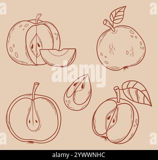 Outline Apples set. Linear hand drawings. Cut fruits, slice, half and ...