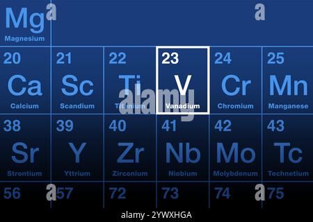 Vanadium on periodic table of the elements. Malleable transition metal ...