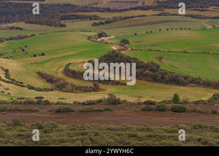 A view of beautiful green fields, interspersed with trees and rolling ...