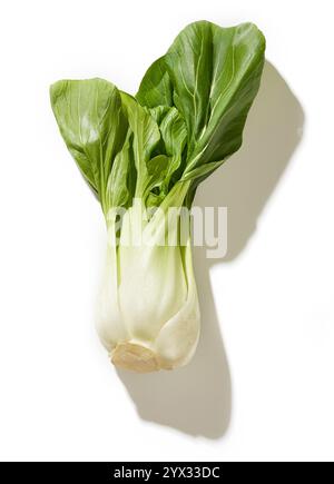 Top view of raw green Chinese cabbage pak choi or bok choy baby ...