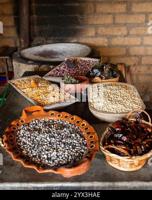 Variety of native corn races from the Oaxaca region in Mexico Stock ...