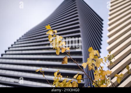 Famous Axis Towers in Tbilisi's downtown Stock Photo - Alamy