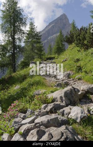 Kleiner Watzmann, mountain hiking, hiking, Berchtesgaden, Alps, Bavaria ...