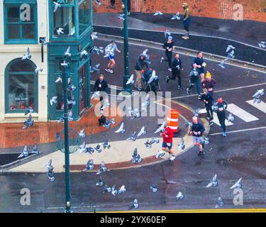 November 28, 2024 Portland, Maine, USA Pigeons flying over Portland ...