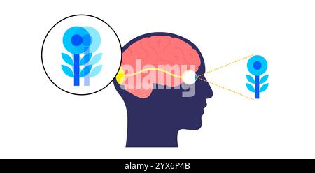 Double vision (diplopia), illustration Stock Photo - Alamy