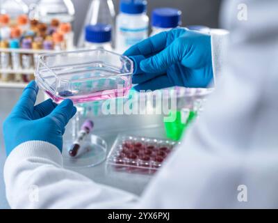 Research on Cell Culture by a Scientist Stock Photo - Alamy