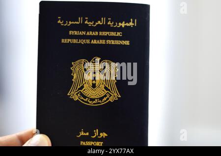 Syrian Arab Republic Passport, The passport of Syria is a travel ...