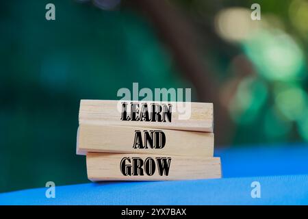 Learn and grow symbol. Concept words Learn and grow on wooden blocks ...