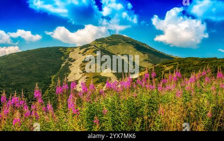 Hill Velky Krivan in mountain range Mala Fatra, Slovakia Stock Photo ...