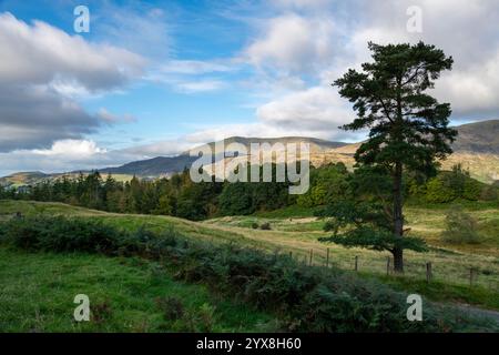 Beautiful scenery around Tarn Hows north of Coniston in the Lake ...