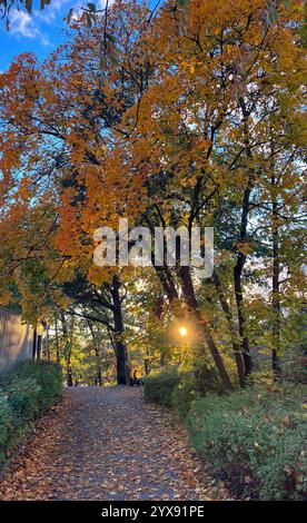 colorful autumn sunset behind the trees in park with shadows Stock ...
