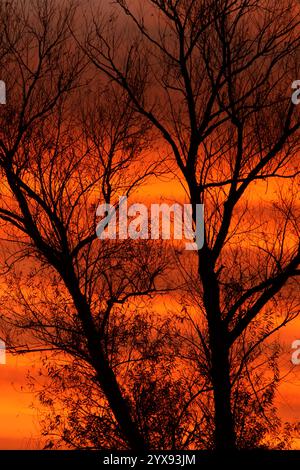 Sunrise, Colusa National Wildlife Refuge, California Stock Photo - Alamy
