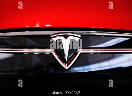 Wunderschone Tesla Motors Logo Bild