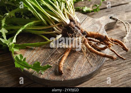 Whole fresh dandelion plant with roots on a wooden table - herbal ...