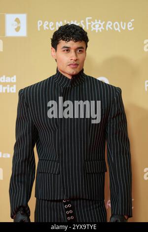 Felipe Londoño on the red carpet of the PLATINO Awards for Ibero ...