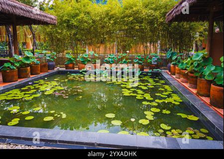 minimalistic koi fish pond, rectangular shaped pond suitable for the ...