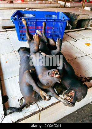 Dog meat at meat market in Tomohon, North Sulawesi, Indonesia Stock ...