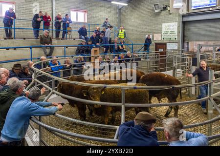 Cork Cattle Mart in Skibbereen, West Cork, Ireland Stock Photo - Alamy