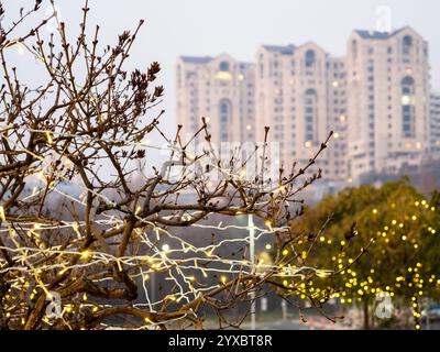 Close-up, tangled garland in female hands, top view Stock Photo - Alamy