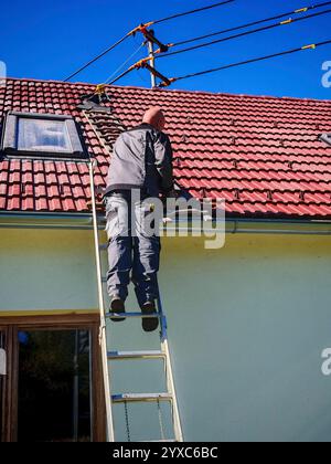 construction worker at topping out or roofing ceremony, when finishing ...