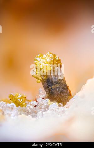 Baryte. Specimen from Mas Dieu, Laval-Pradel, France. Micro photography ...