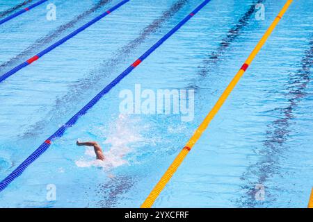 Swimmer swimming freestyle stroke or front crawl during sport swim meet ...