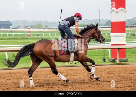Thoroughbred horse racing, Keeneland Racecourse, Lexington, Kentucky ...