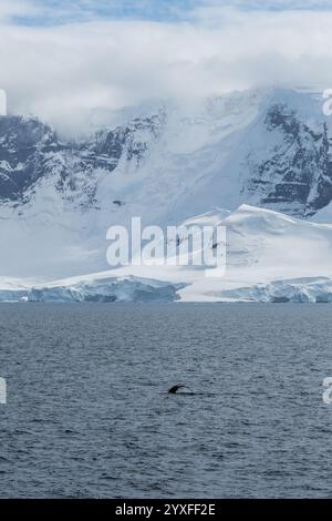 Impression of the Scenery near Anvers Island, on the Antarctic ...