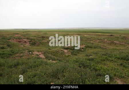 Unexcavated archaeological field near early Neolithic site of Kantara ...