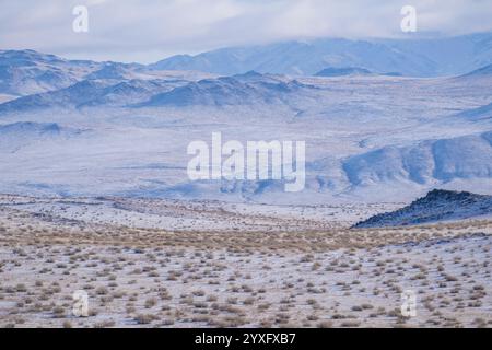 Dry temperate steppe and mountain regions in western Mongolia. Steppe ...
