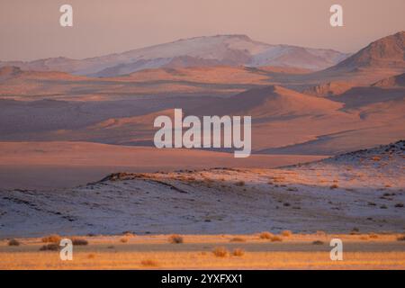Dry temperate steppe and mountain regions in western Mongolia. Steppe ...