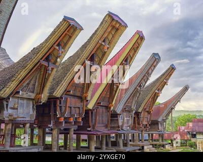 Traditional colourful houses, curved roofs, village in Tana Toraja ...