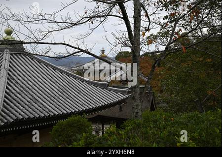 Kirizuma type of rooftops with exquisite Japanese Zelkova Serrata wood ...