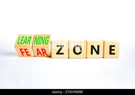 Learning or fear zone symbol. Concept words Learning zone Fear zone on ...