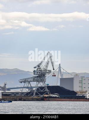 LargeLarge crane works on large coal stockpile at Osaka port. crane ...