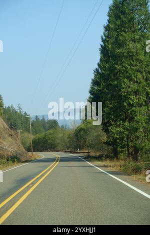 Burn scar recovery east of Roseburg Oregon Stock Photo - Alamy