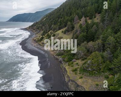 Beach and forest area. Humboldt County, Northern California, USA Stock ...