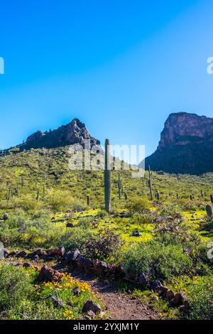An overlooking view of Picacho Peak SP, Arizona Stock Photo - Alamy