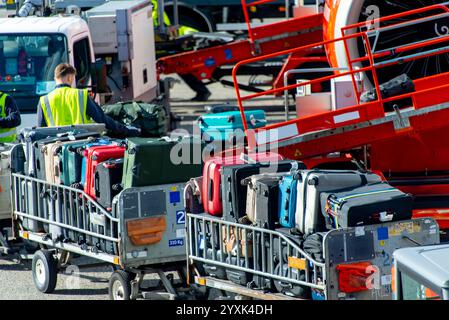 Baggage Unloading from Commercial Airplane Stock Photo - Alamy