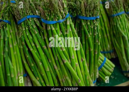 A view of several bunches of asparagus, on display at a local grocery ...