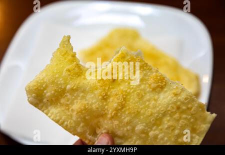 Traditional Brazilian fried cheese pastry known as pastel de feira ...