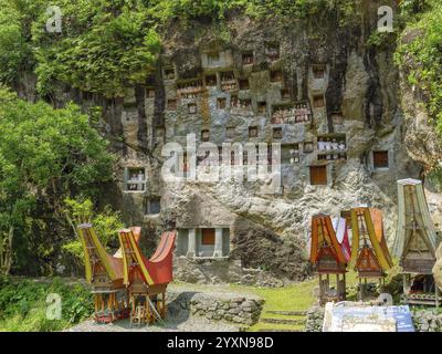 Rock tombs in Tana Toraja, Kete Kesu, Rantepao, Sulawesi, Indonesia ...