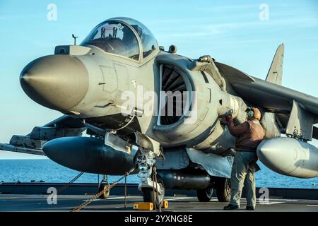 Italian Navy AV-8B Plus from GRUPAER in special marking to celebrate ...