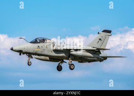 AMX International A-11 Ghibli ground attack fighter jet of the Italian ...