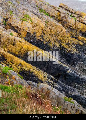 Black rock carboniferous limestone at Sand Point on the Bristol Channel ...