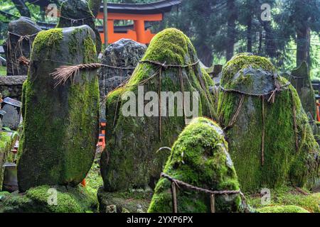 Sacred stones wrapped with rope (Yorishiro) at Fushimi Inari Taisha ...