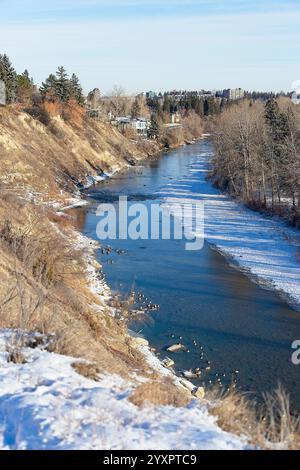 Elbow river flowing through down Calgary on winter day Stock Photo - Alamy